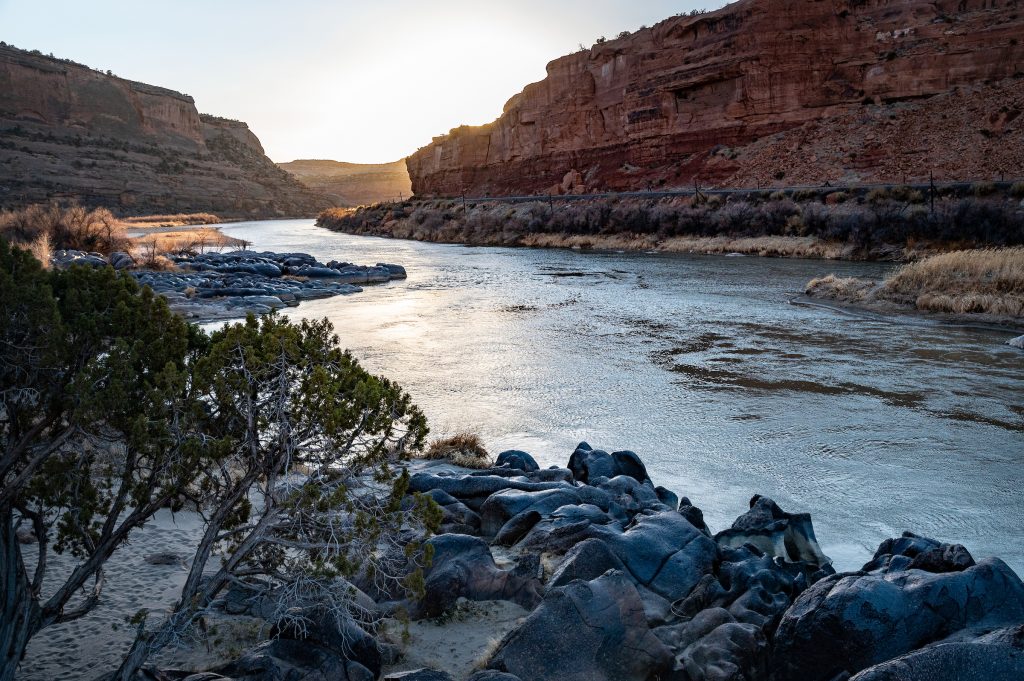 Press Release: Grim Updates from Feds Show Need for Urgent Action on ...